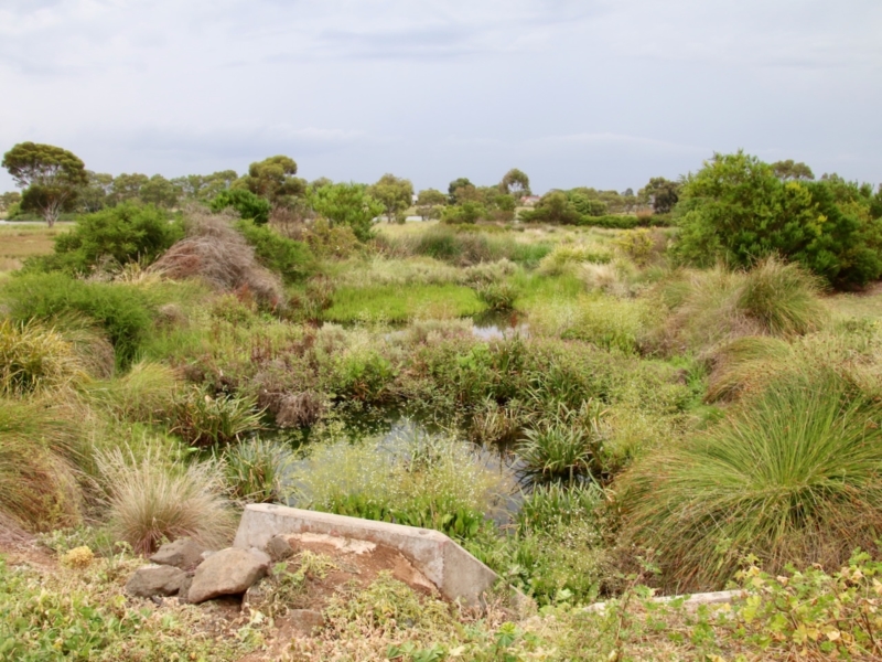 Lara Lake Walk - Walking Maps