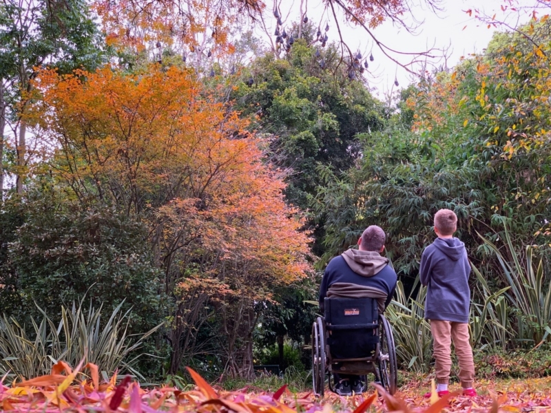 Lake Colac & Colac Botanical Gardens Accessible Walk - Walking Maps
