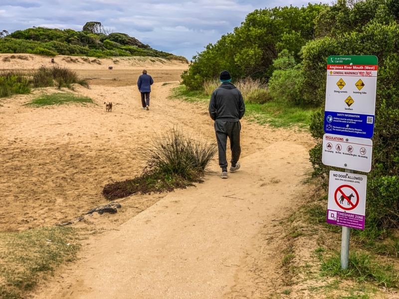 Anglesea River Accessible Walk - Walking Maps