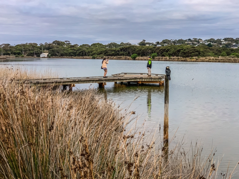 Anglesea River Accessible Walk - Walking Maps