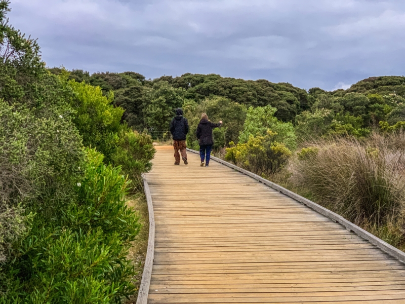 Anglesea River Accessible Walk - Walking Maps