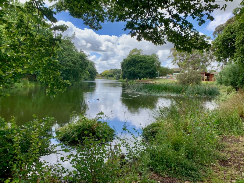 Cobden Lake Walk - Walking Maps