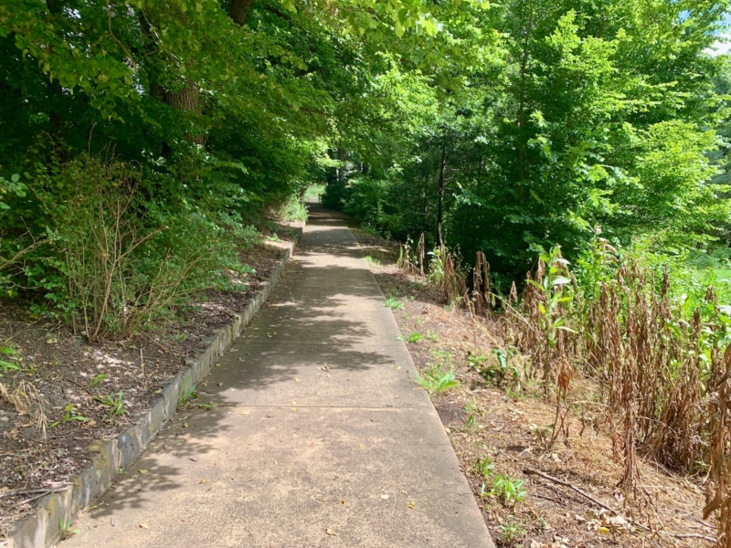 Cobden Lake Walk - Walking Maps