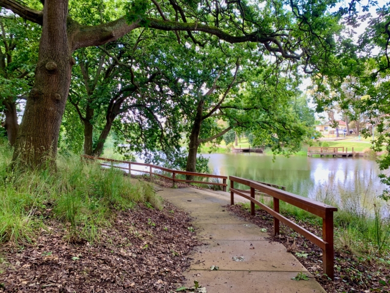 Cobden Lake Walk - Walking Maps