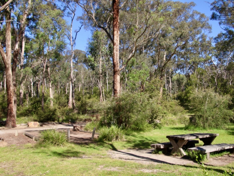 Pound Bend Yarra Loop Walk, Warrandyte - Walking Maps
