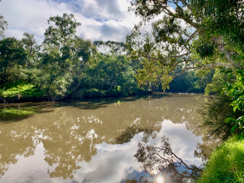 Yarra Bend Park Walk, Studley Park, Kew - Walking Maps