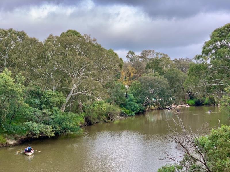 Yarra Bend Park Walk, Studley Park, Kew - Walking Maps