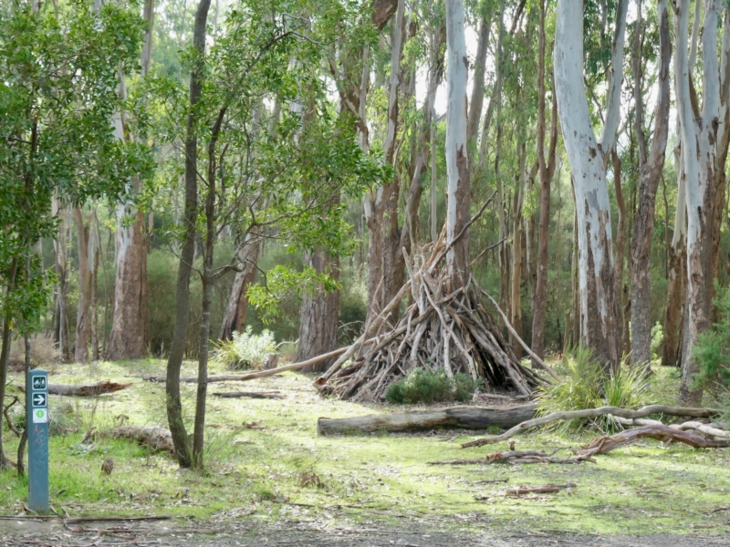 Lysterfield Lake Circuit Park Walk - Walking Maps