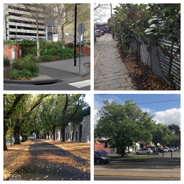 A walk of fitzroy - Walking Maps