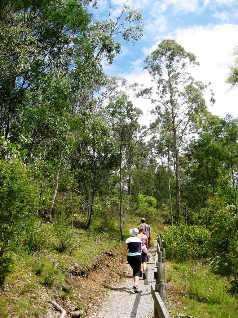 Spring Creek Walk, Buchan Caves Reserve - Walking Maps