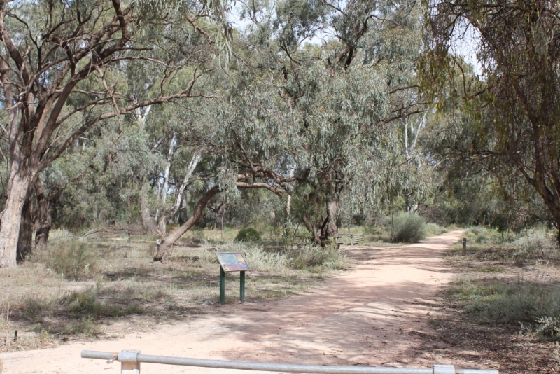 Kings Billabong Nature Trail - Walking Maps