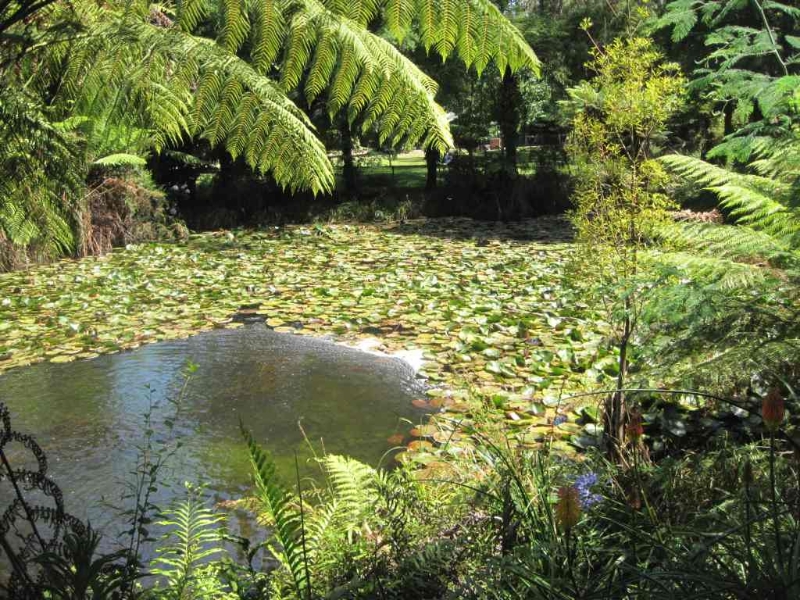 Maroondah dam and parks - Walking Maps