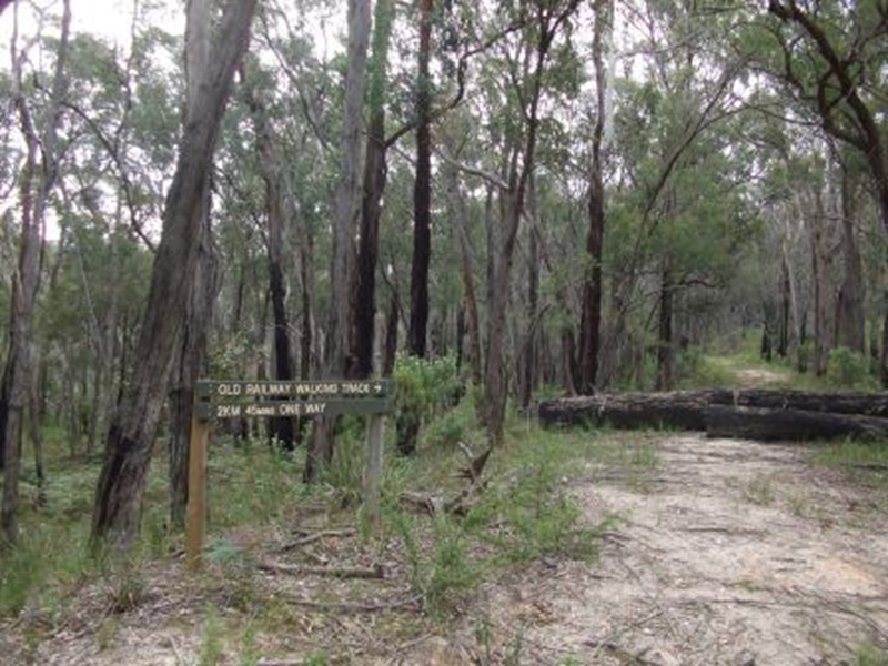 Old Railway Walk - Won Wron State Forest - Walking Maps