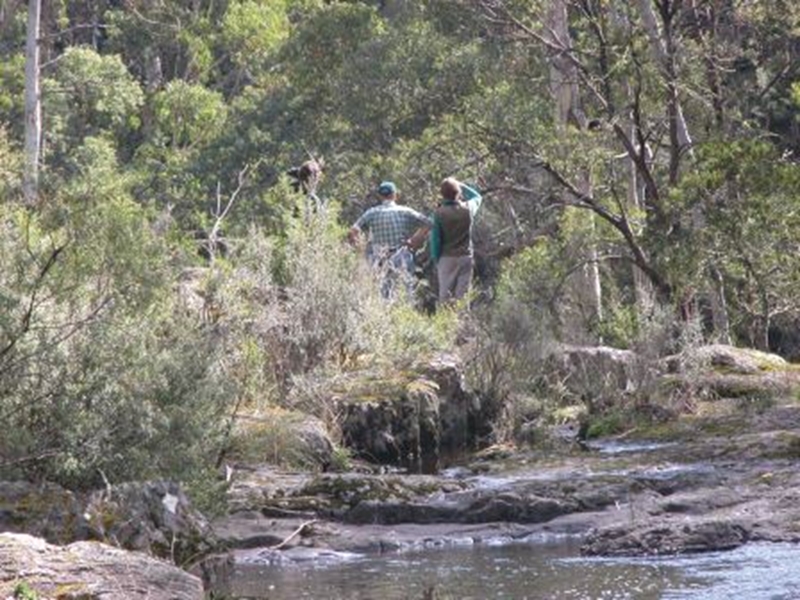 Alpine National Park: Moroka Gorge Walk - Walking Maps