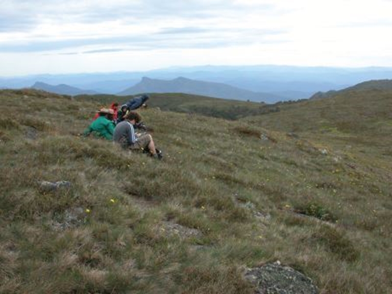 Alpine National Park: Mt Howitt Walk - Walking Maps