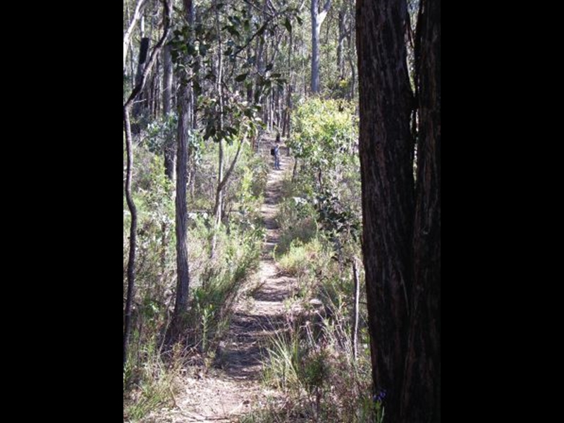 Briagolong Blue Pool Walking Track: The Ridge Walking Track & Peregrine ...