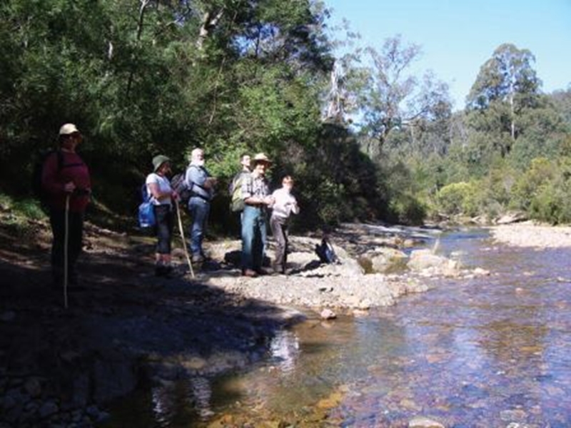 Briagolong Blue Pool Walking Track: The Freestone Walking Track - Walking Maps
