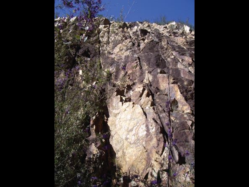 Briagolong Blue Pool Walking Track: The Freestone Walking Track ...
