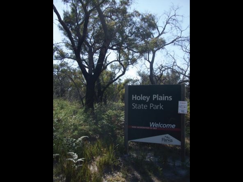 Rosedale: Holey Plains State Park - Walking Maps