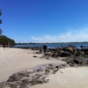 Jervis Bay - Vincentia walk, NSW - Walking Maps