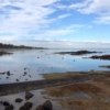 Black Rock Beach to Ricketts Point Marine Sanctuary - Walking Maps
