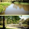 Ringwood Lake - Walking Maps