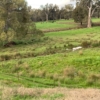 Kiewa River wetland trail - Walking Maps