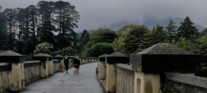Princes Pier loop, Port Melbourne - Walking Maps