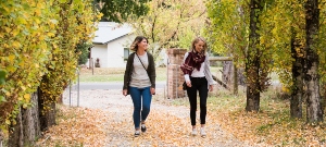 Discover - Walking Maps