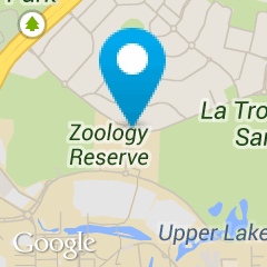 afternoon walk - Walking Maps